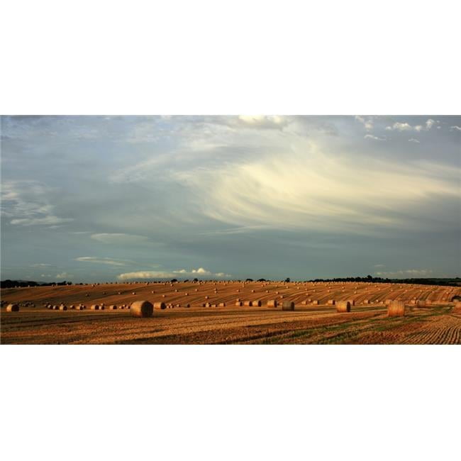 County Cork Ireland Hay Bales After The Harvest Near Mallow Poster ...