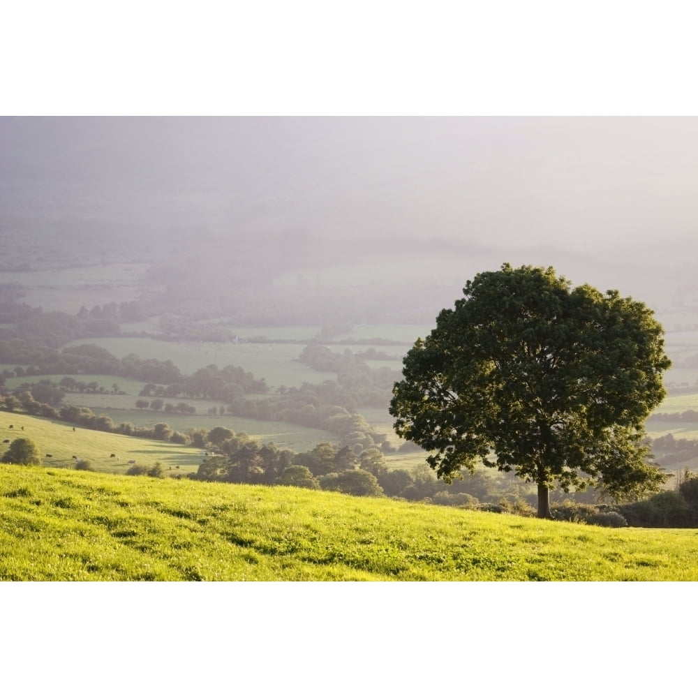County Waterford Ireland Landscape Near Croaghaun by The Irish Image ...