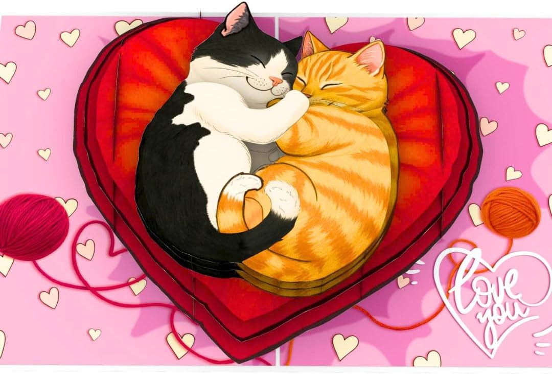 - Couple Cat Valentines Card - 3D Pop Up Valentines Day Card for ...