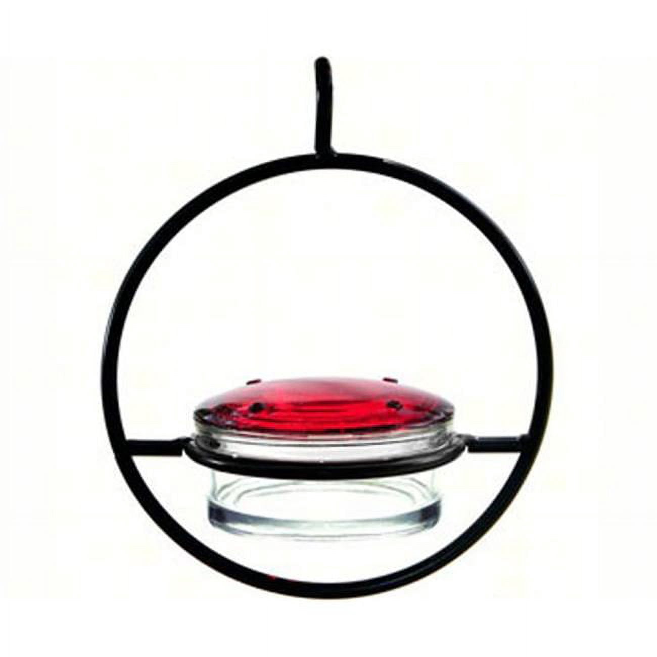 Couronne Co. Sphere Hummingbird Feeder - Outdoor Recycled Glass & Metal ...