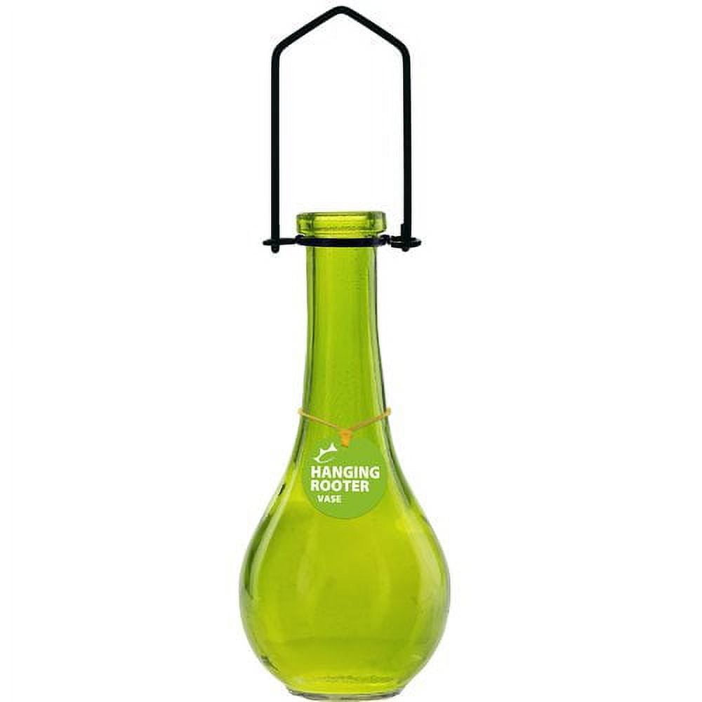 Couronne - Hanging Drop Glass Rooting Vase - Lime - Walmart.com