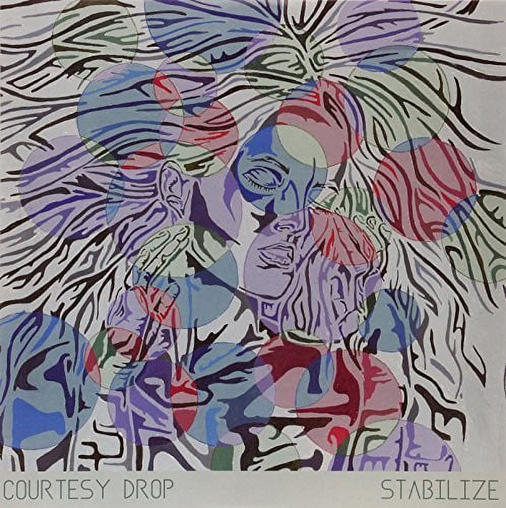 Courtesy Drop - Stablilize - Rock - Vinyl - Walmart.com