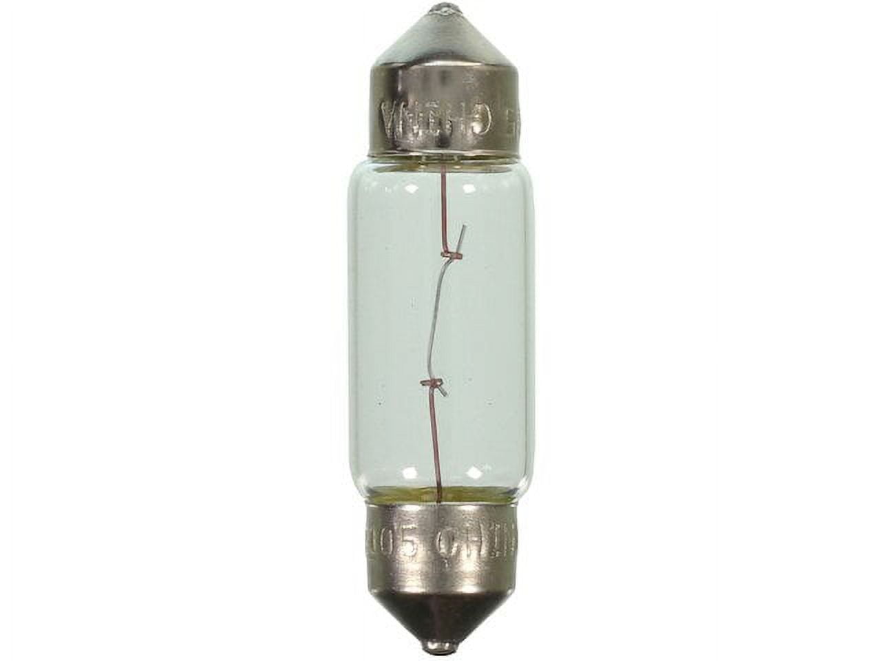 Courtesy Light Bulb - Compatible with 1998 - 2006 Mercedes-Benz S500 ...