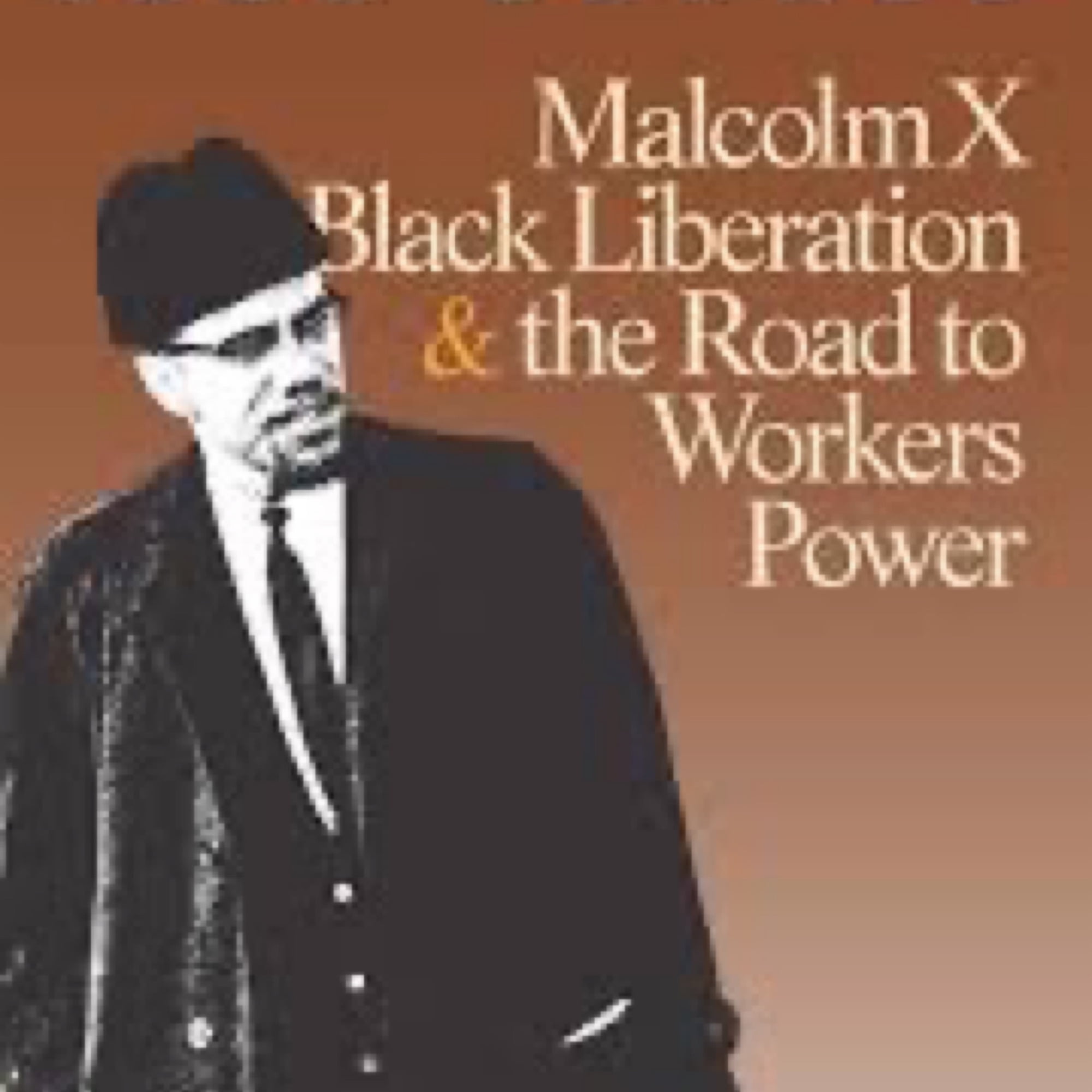 Malcom X, Black Liberation, & The Road To Workers Power - Walmart.com
