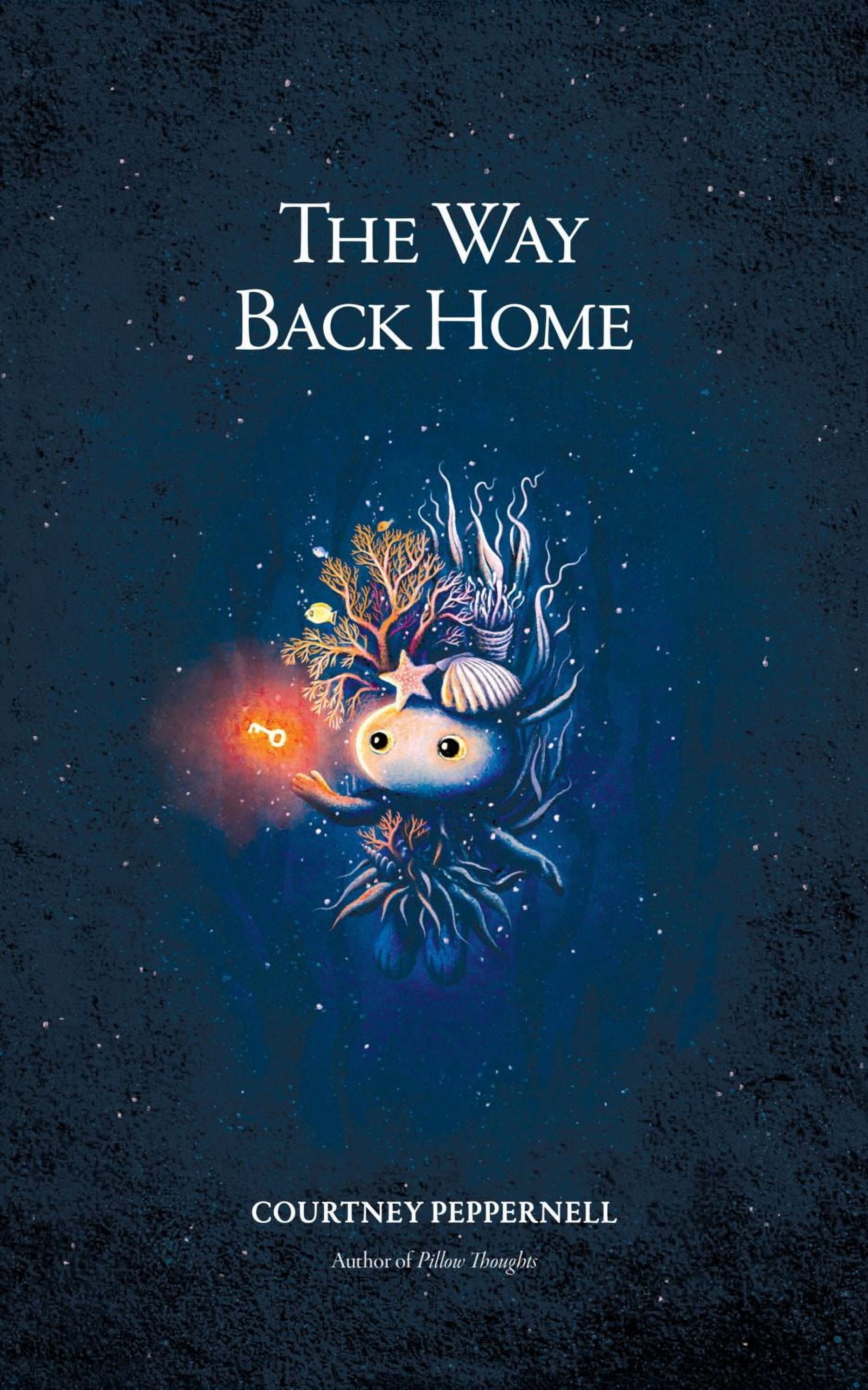 The Way Back Home (Paperback) - Walmart.com