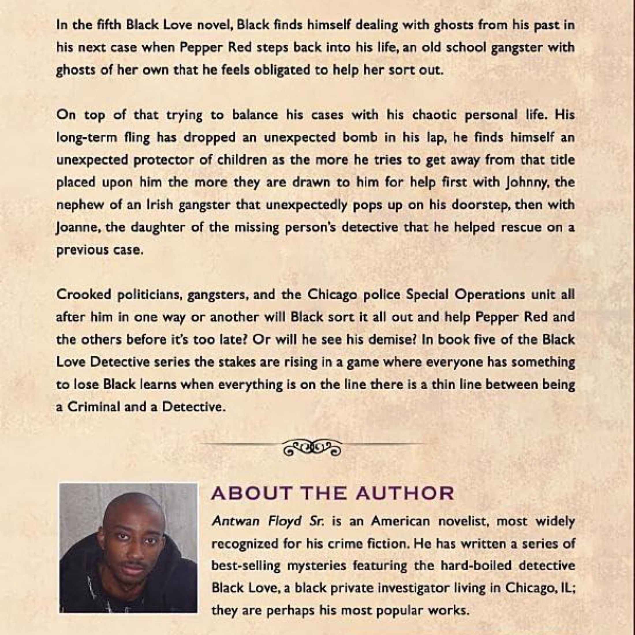 The Detective and The Criminal: a Black Love Detective STory Book 5 ...