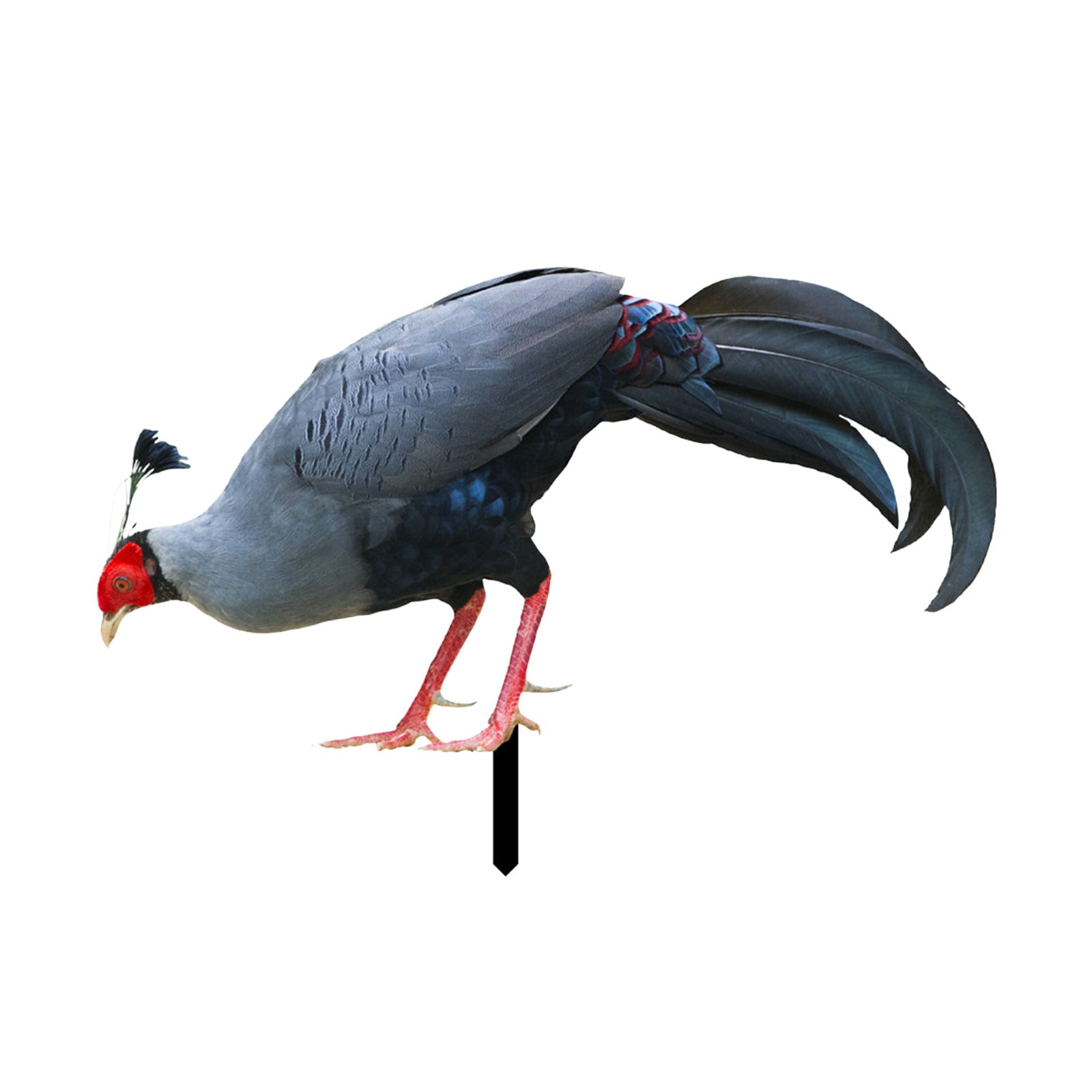 Courtyard Signs with Poultry Decoration 2d Acrylic Double Side Printing ...