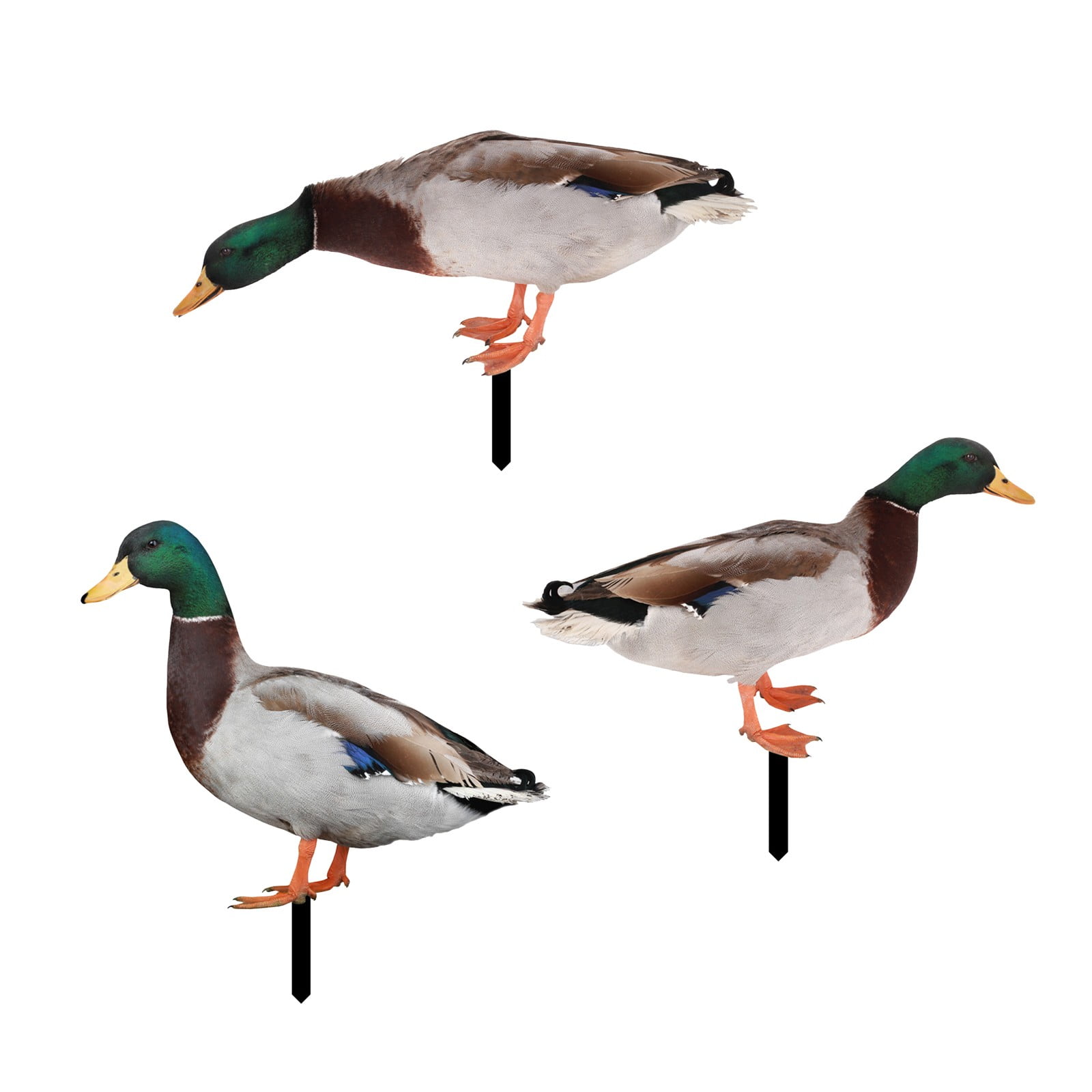 Courtyard Signs with Poultry Decoration 2d Acrylic Double Side Printing ...