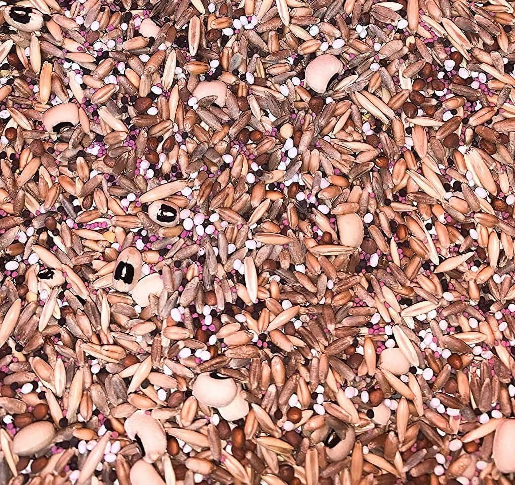 Cover Crop 10 Seed Mix - Winter Rye, White Clover, Austrian Winter Peas ...