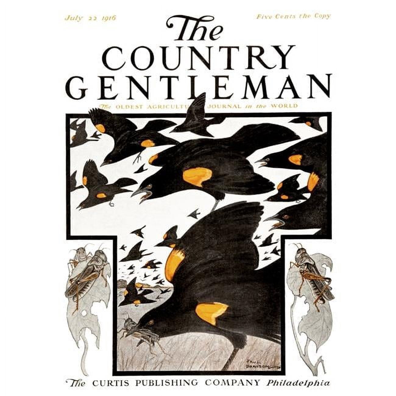 Cover of Country Gentleman Agricultural Magazine From The Early 20th ...