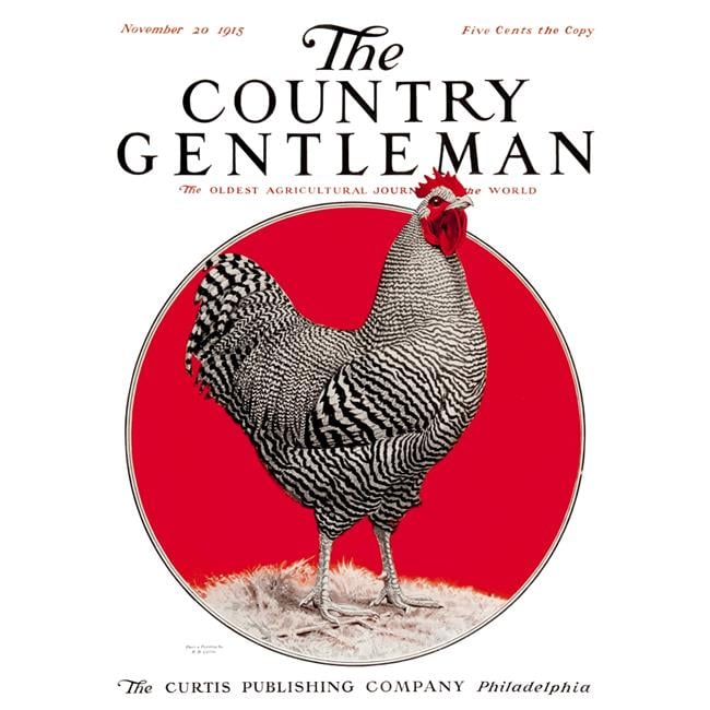 Cover of Country Gentleman Agricultural Magazine From The Early 20th ...