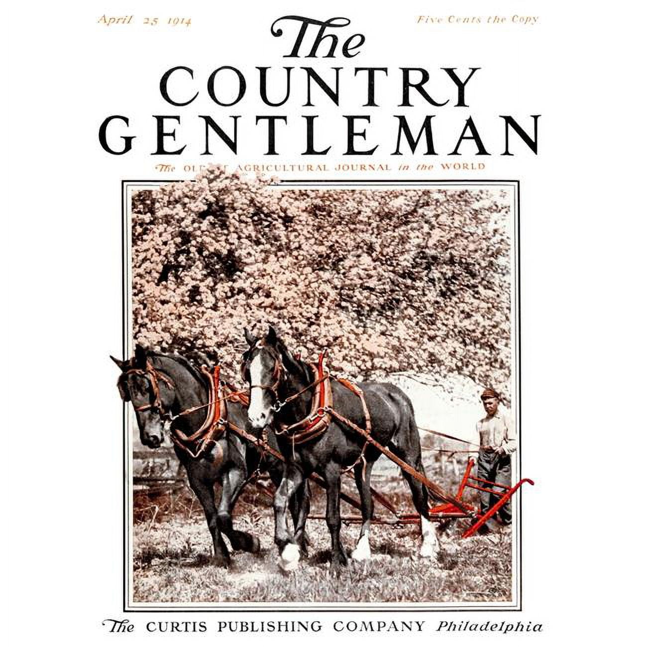 Cover of Country Gentleman Agricultural Magazine From The Early 20th ...
