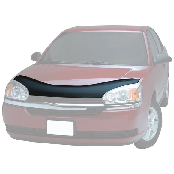 Dodge Caravan Hood