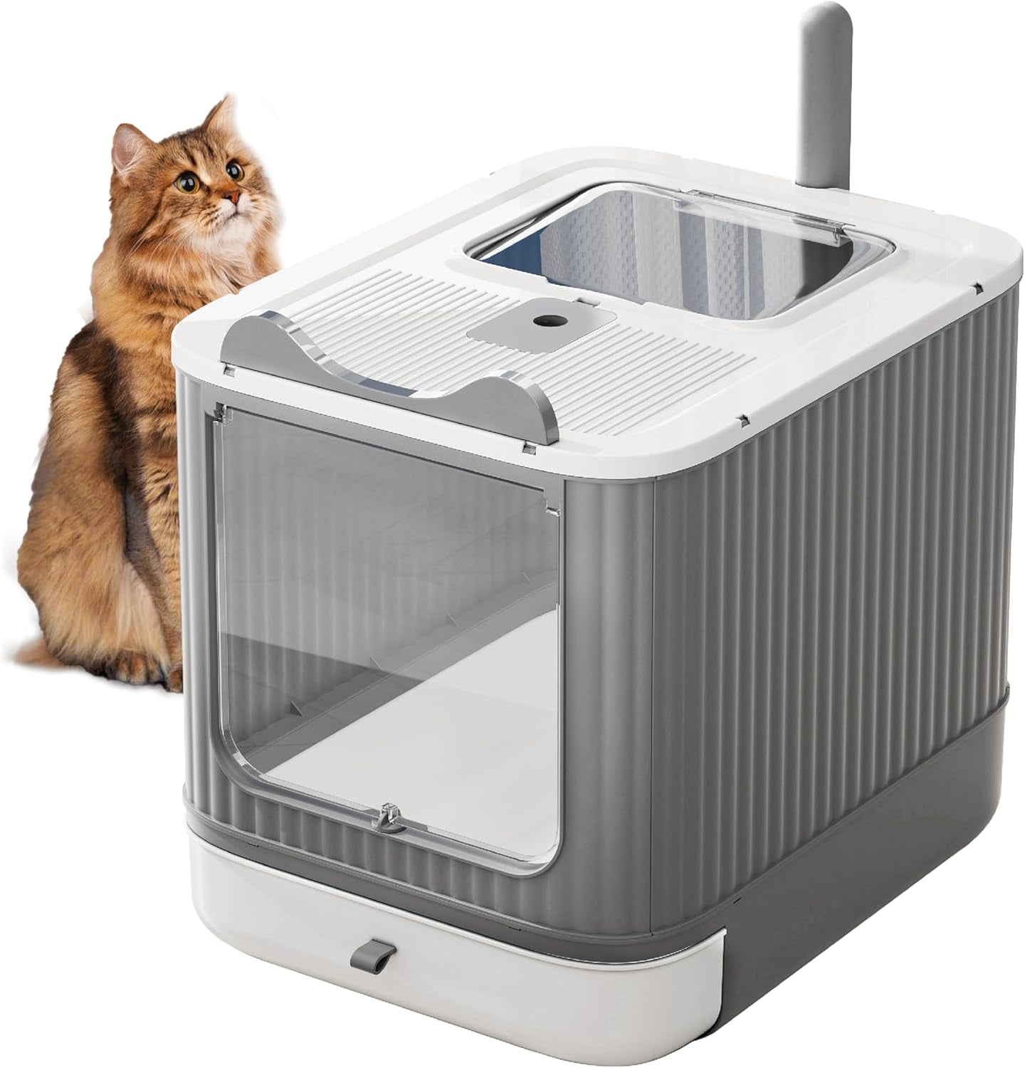 Covered Cat Box Enclosure,Fully Enclosed Cat Litter Box with Lid,Anti ...