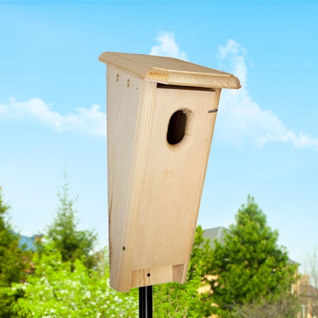 Coveside Slant-Front Bluebird Box - Walmart.com