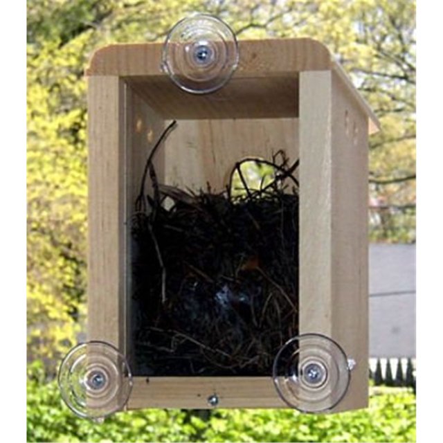 Coveside Window Nest Box Kit - Walmart.com