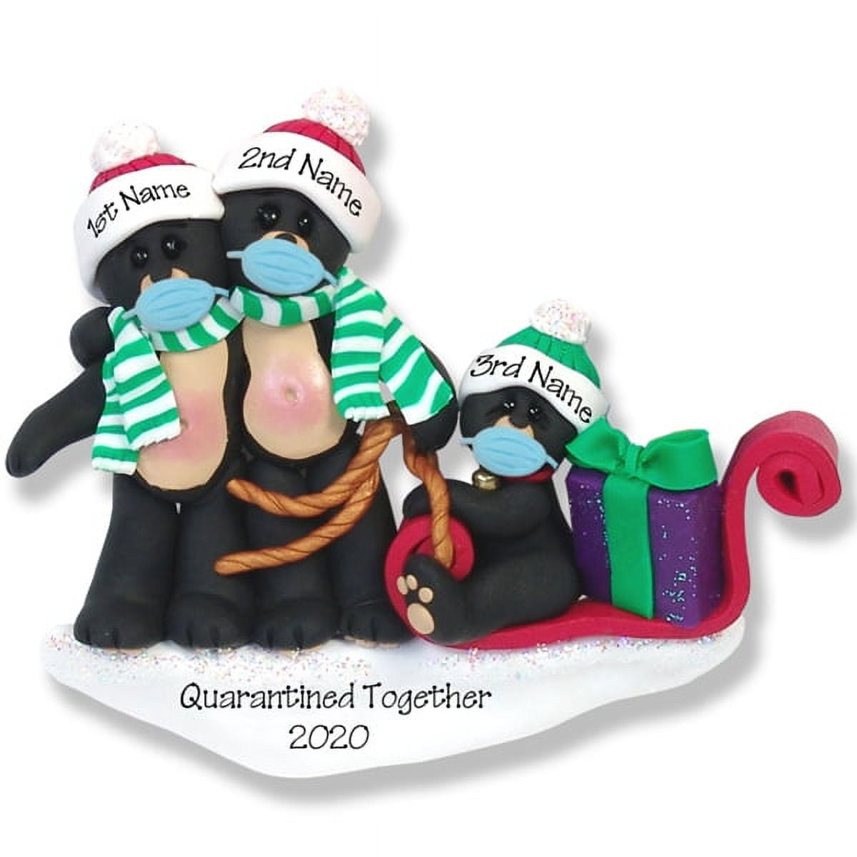 Covid-19 Black Bear Family of 3 w/Sled & Face Masks Pandemic ...