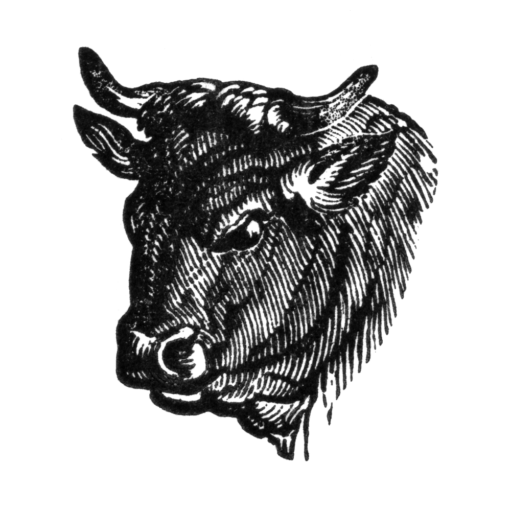 Cow 19Th Century. Nmetal Typefounder'S Cut By The United States Type ...