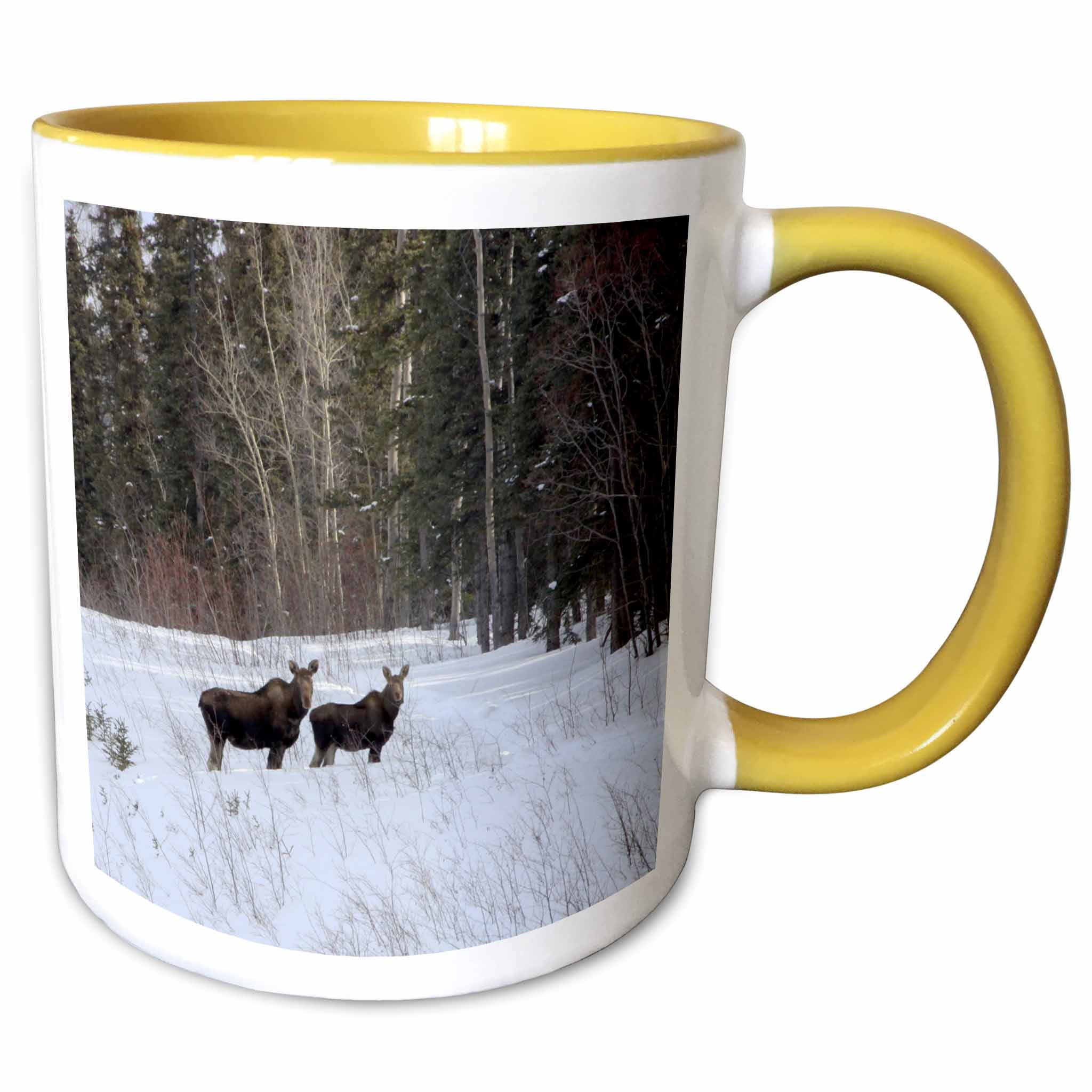 3drose, Cow and Calf Moose Stand and Watch from the Side of the Alaska ...