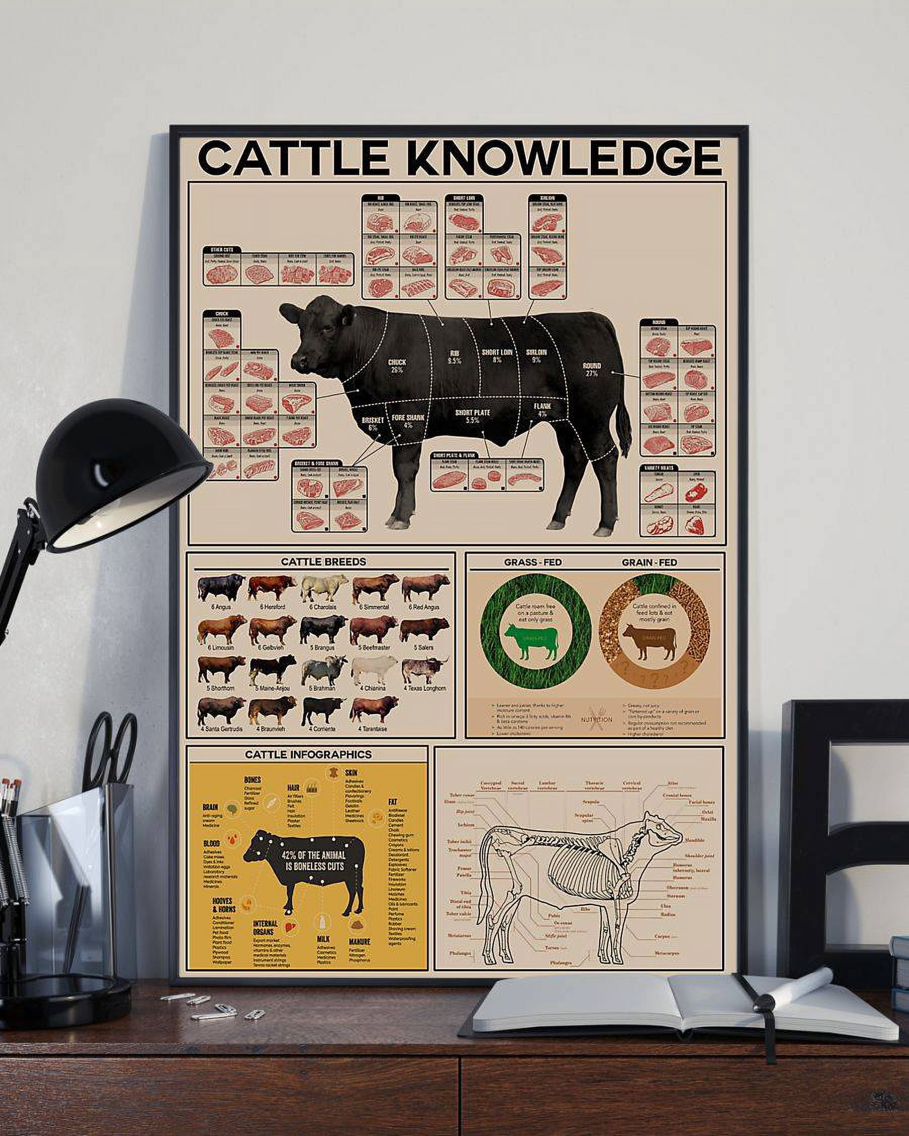 Cow Cattle Knowledge Poster Breef Knowledge Or Canvas Student Farmer ...