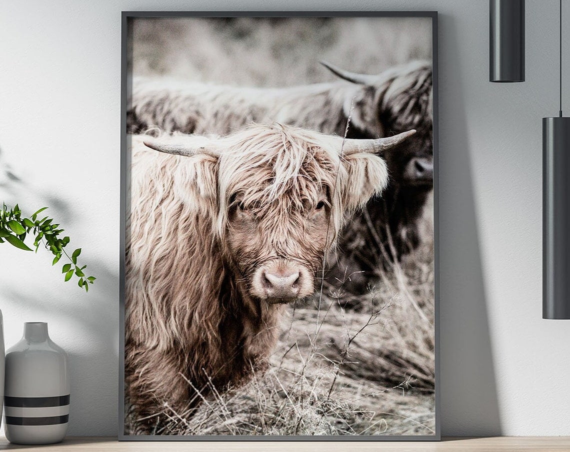Cow Up Close Poster, Poster, Poster Print, Wall Decor, Cow, Animal Art ...