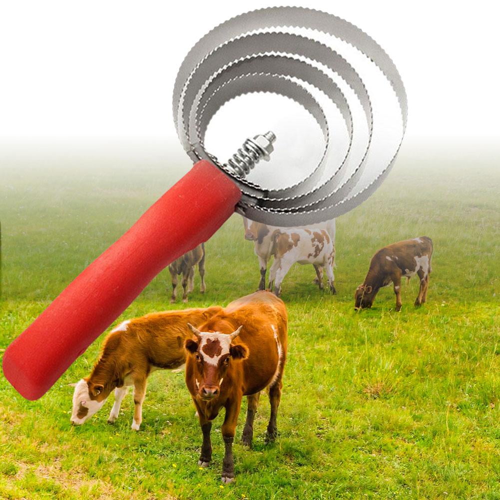 Cow Curry Comb 4/5/6 Turns Stainless Steel Itch Relief Brush. Hair ...