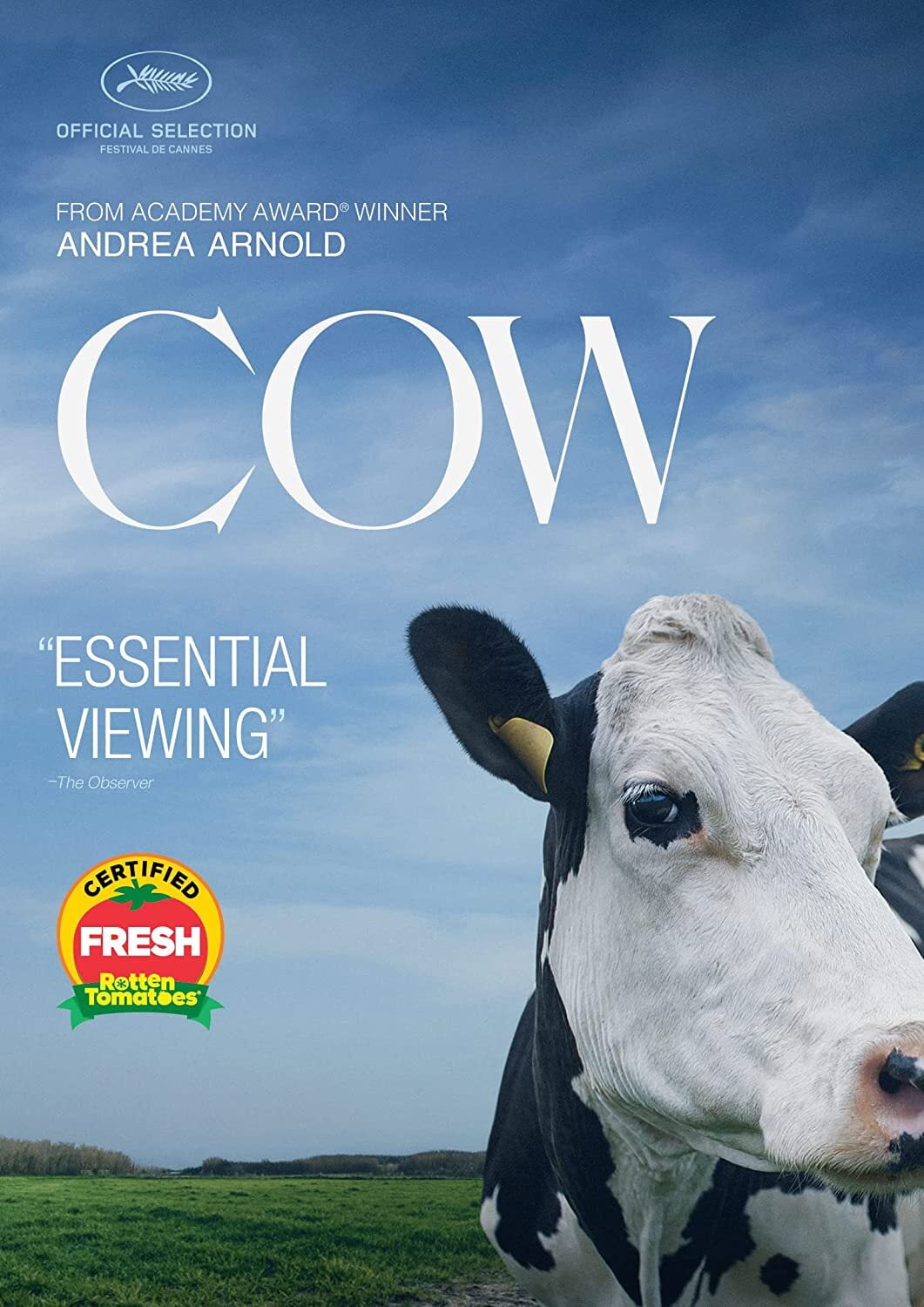 Ifc - Cow [DIGITAL VIDEO DISC] - Walmart.com