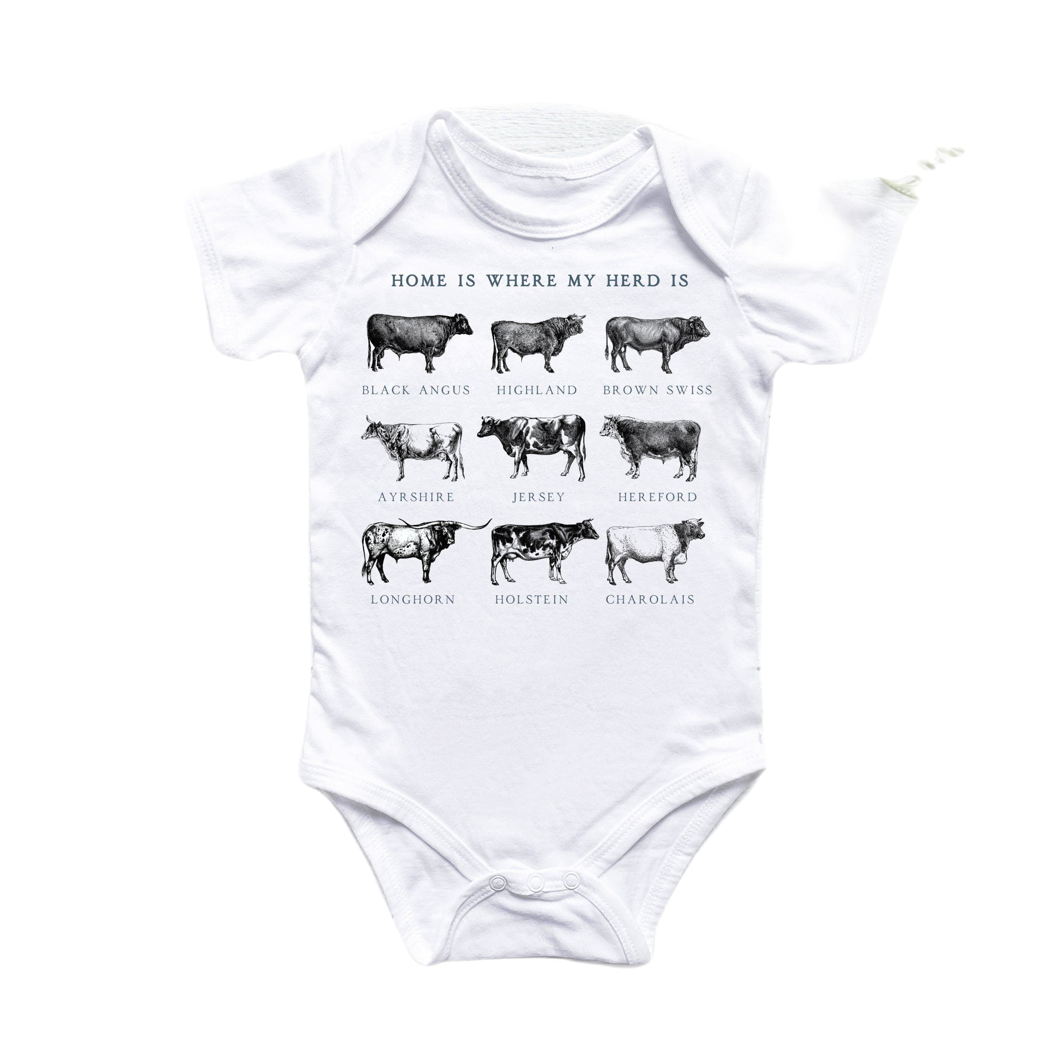 Cow Farm Types - Baby Boy Girl Clothes Infant Bodysuit Funny Cute Newborn - Walmart.com