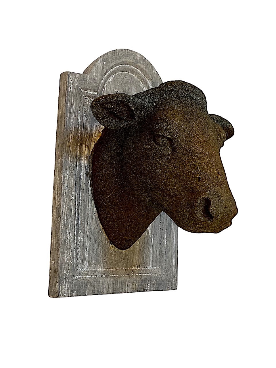 Cow Head Decorative Small Wall Sculpture Farmhouse Decor Barnyard ...