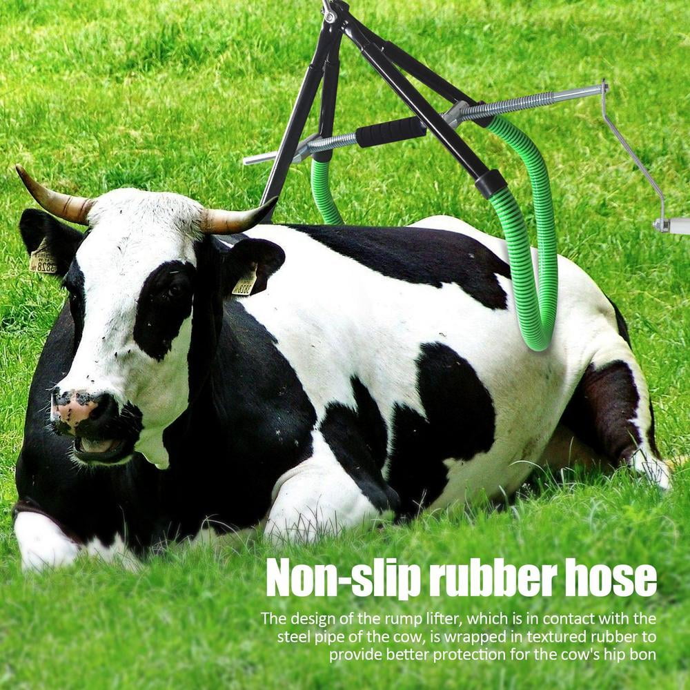 Cow Hip Lift Cow Hip clamp 2204LB Capacity OB Calving Milking Birthing ...