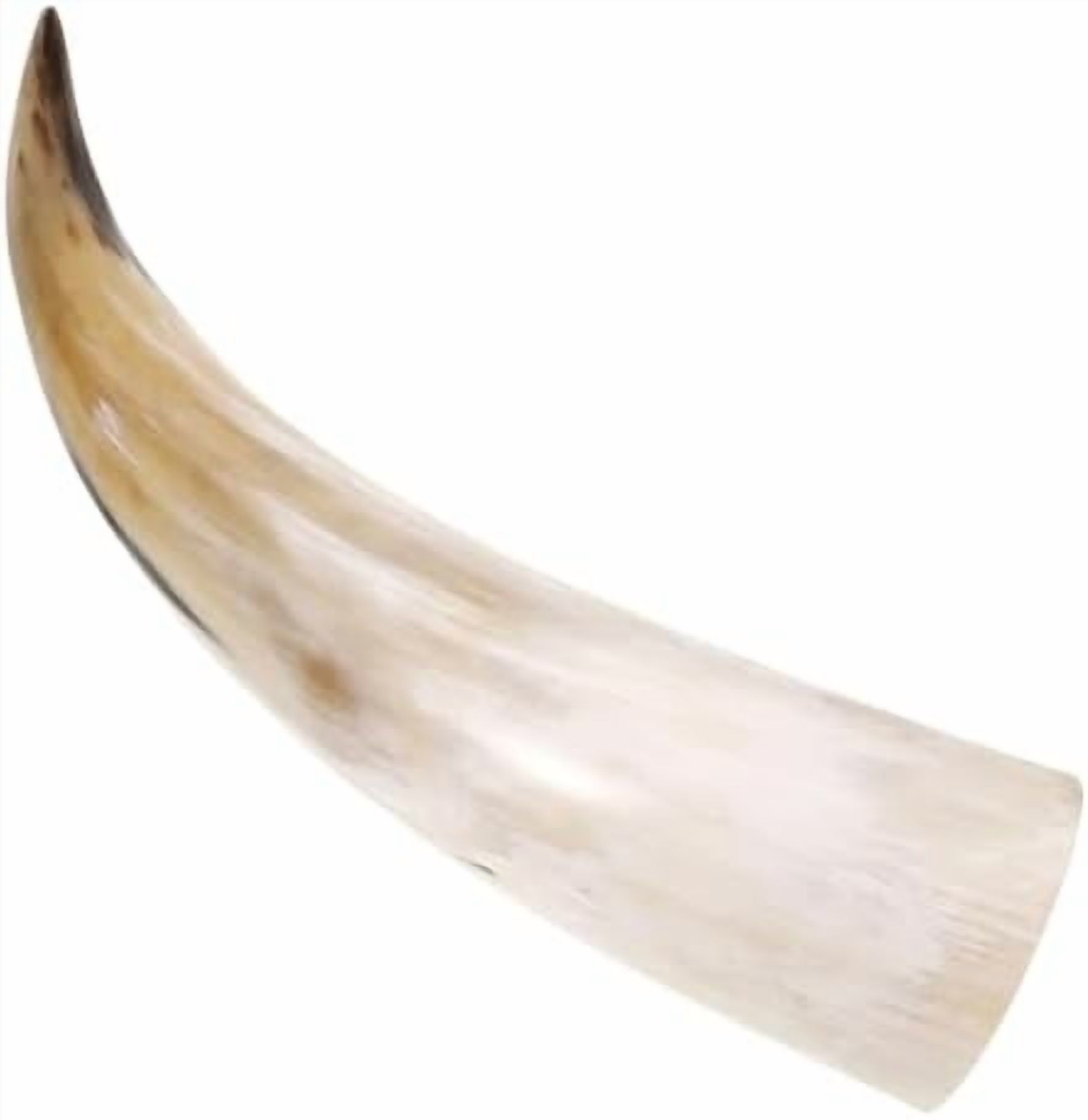 Cow Horns in Vase Horn Wall Mount Ox Horn Wall Decor Rustic Horn Wall ...
