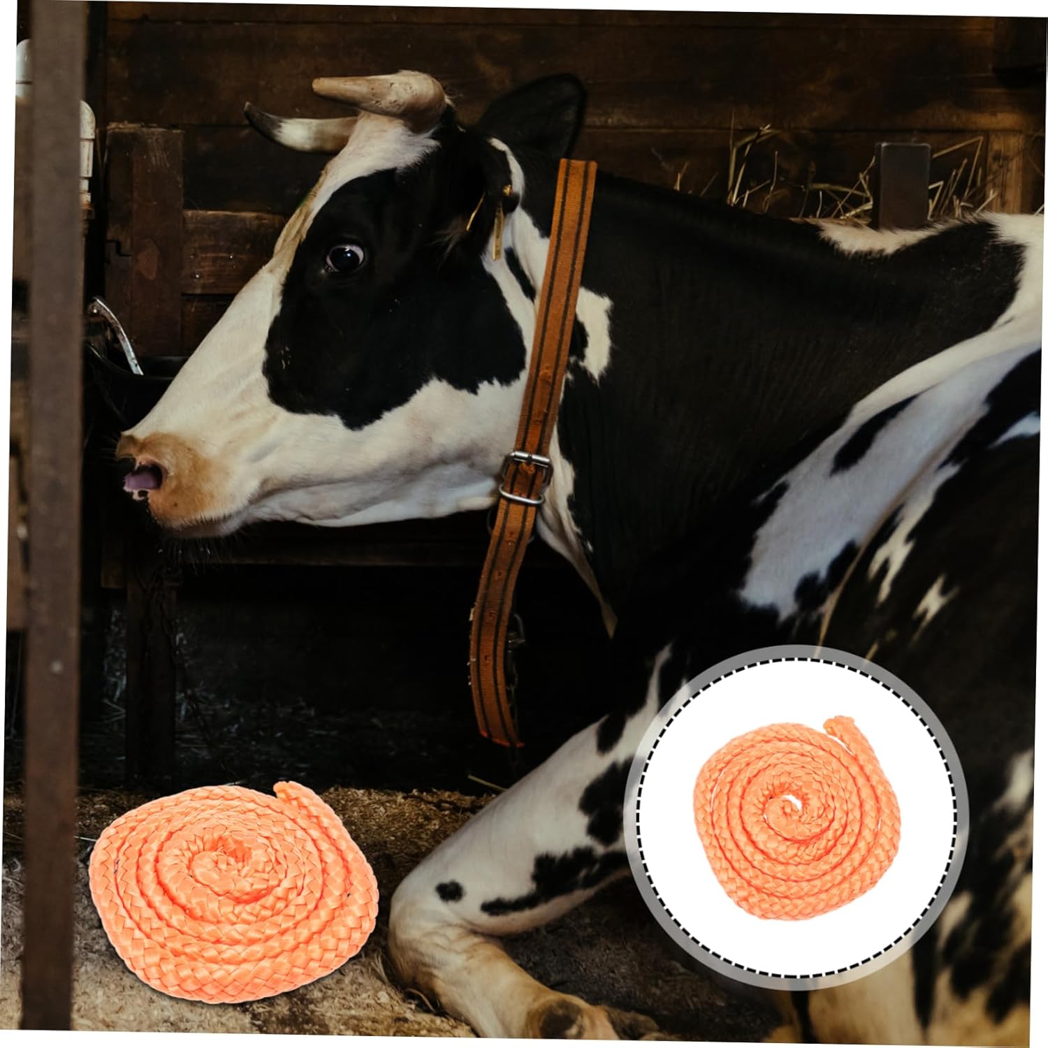 Cow Midwifery Rope Cow Midwifery Cords Farm Midwifery Twisted Cotton ...