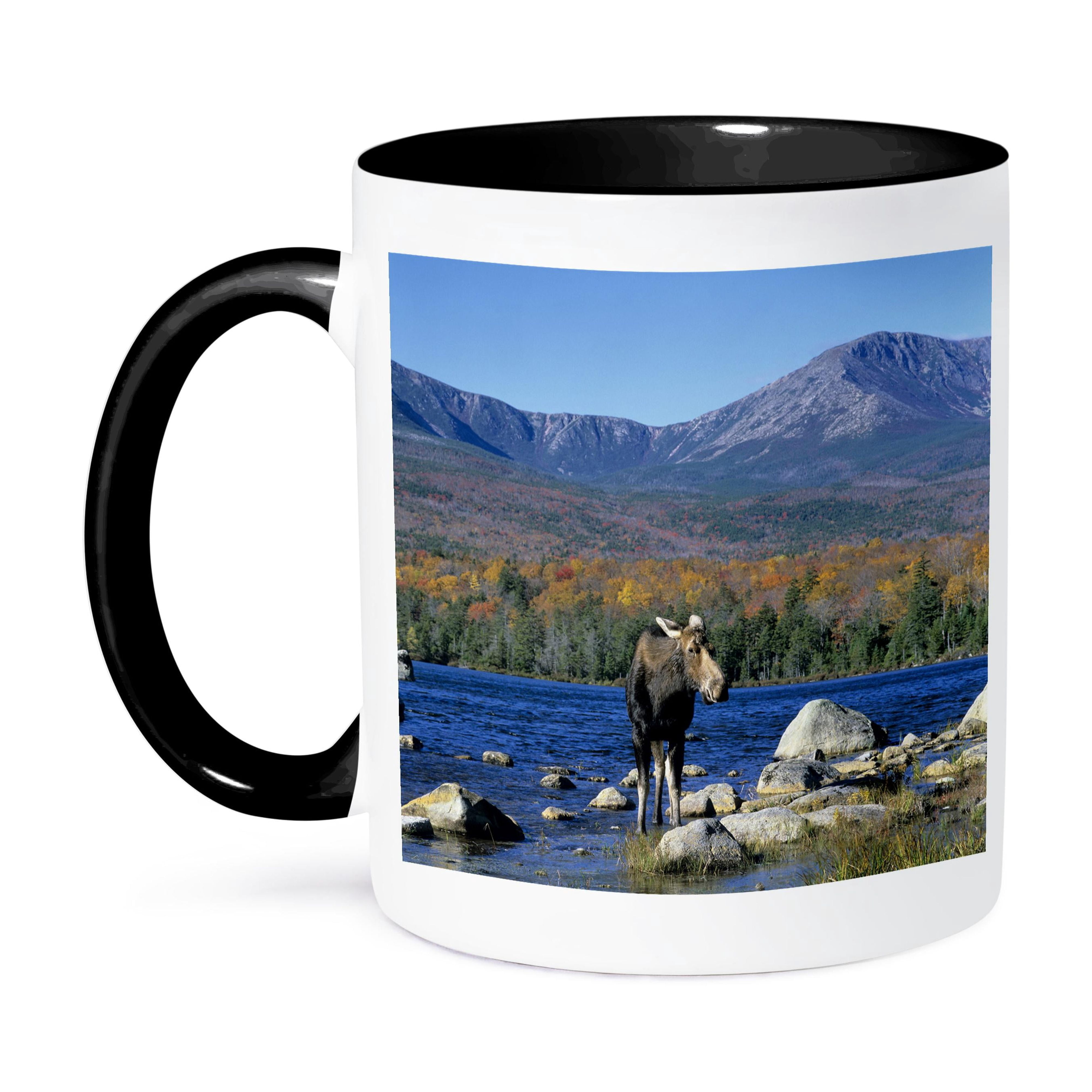 3dRose, Cow moose wildlife, Mt. Katahdin, Baxter SP, Maine - US20 ...