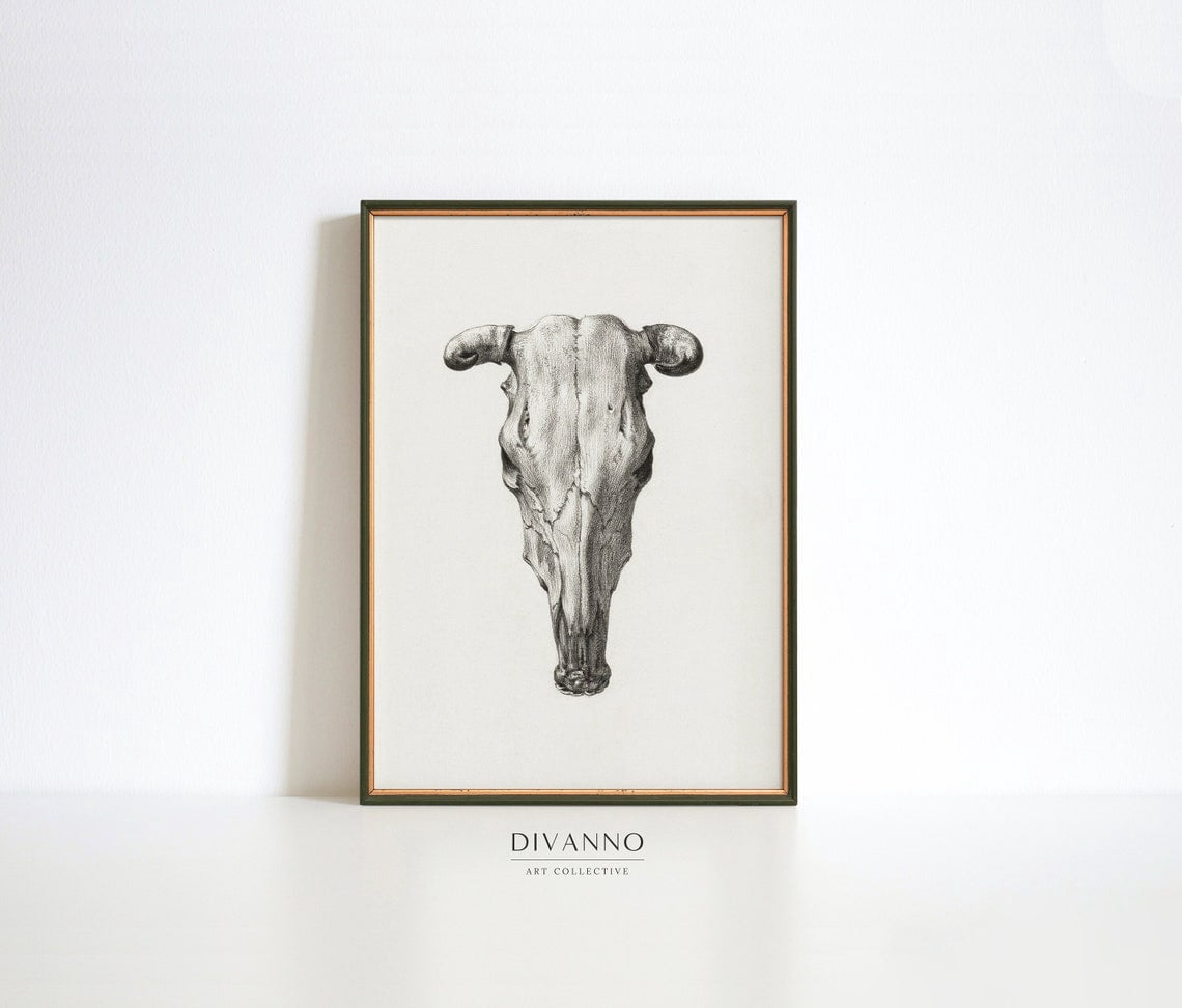 Cow Skull Charcoal Black White Gothic Western Poster, Stretched Size ...