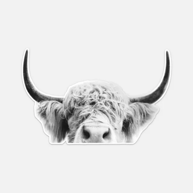 Cow Sticker Phone Decal Water Bottle Stickers Car Decals, Laptop ...