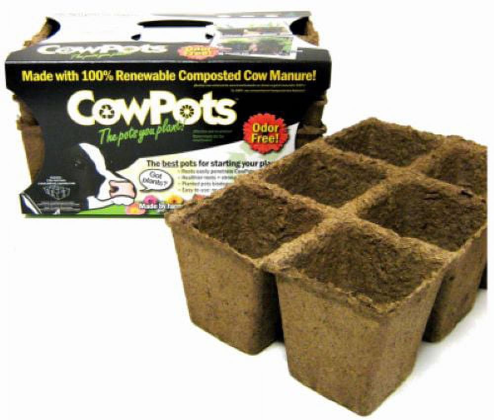CowPots 00107 3-Pack 3" Seed Starting Tray Pots - Quantity of 6 ...