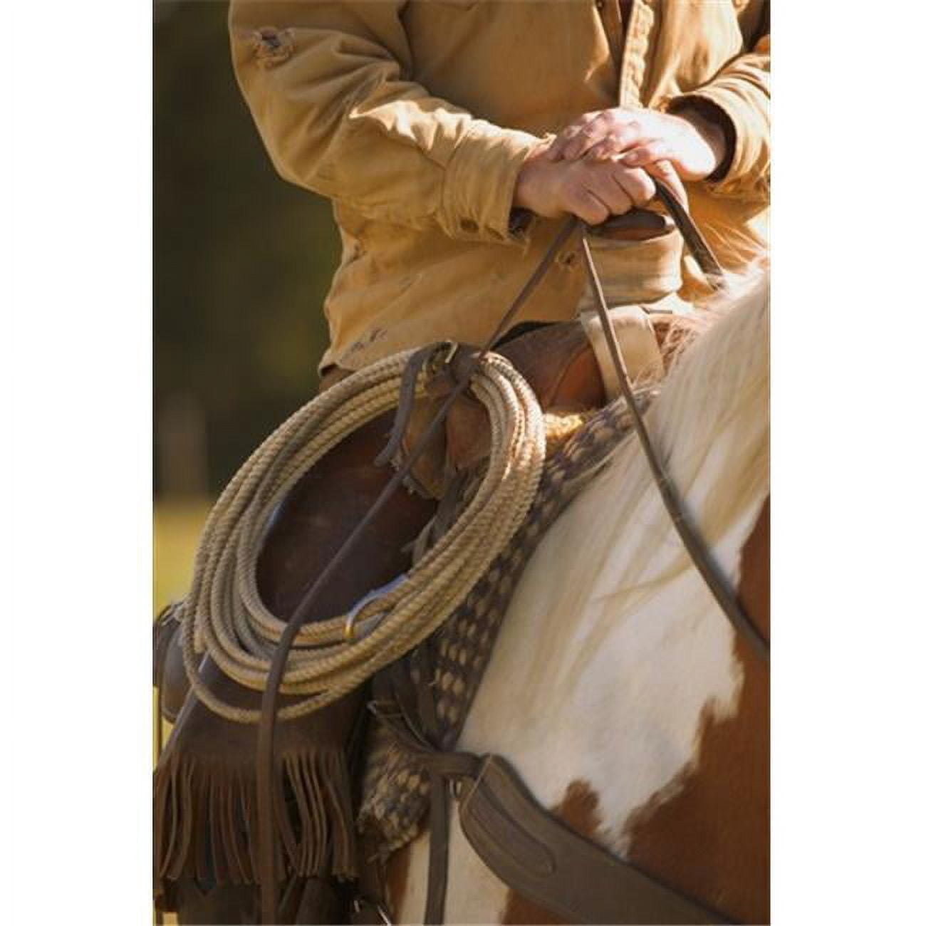 Cowboy And Lasso Poster Print - Walmart.com