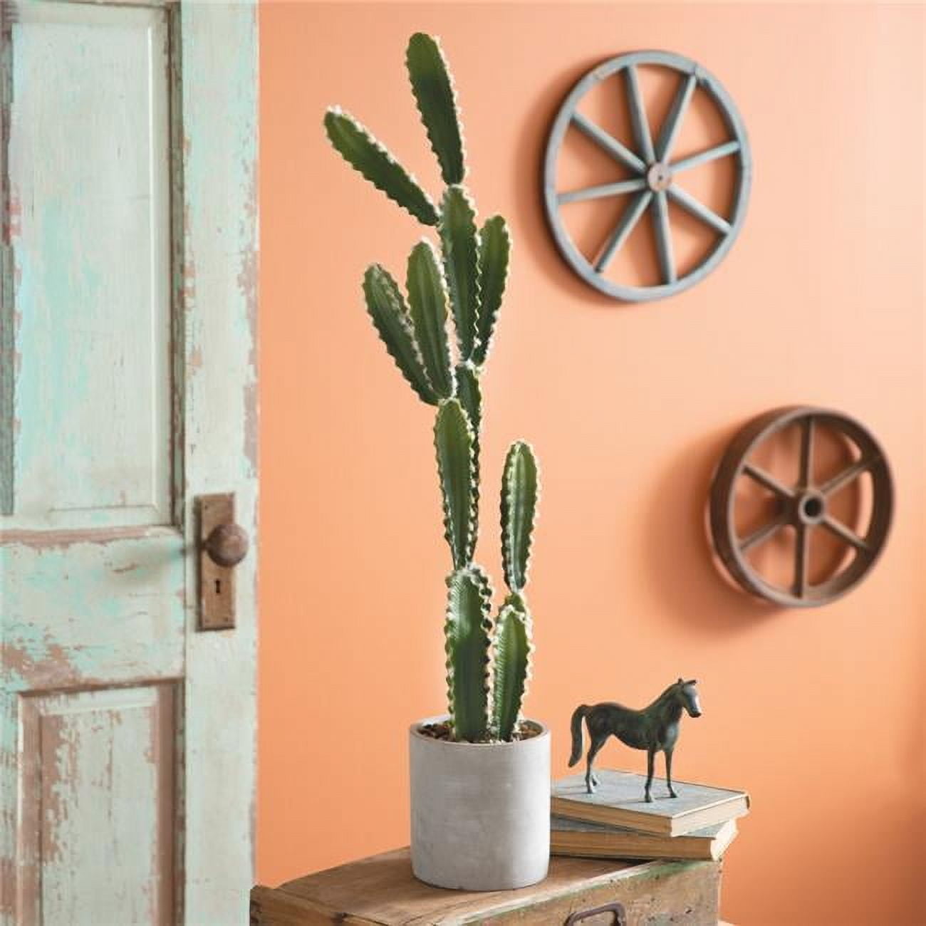 Cowboy Cactus Plant - Walmart.com