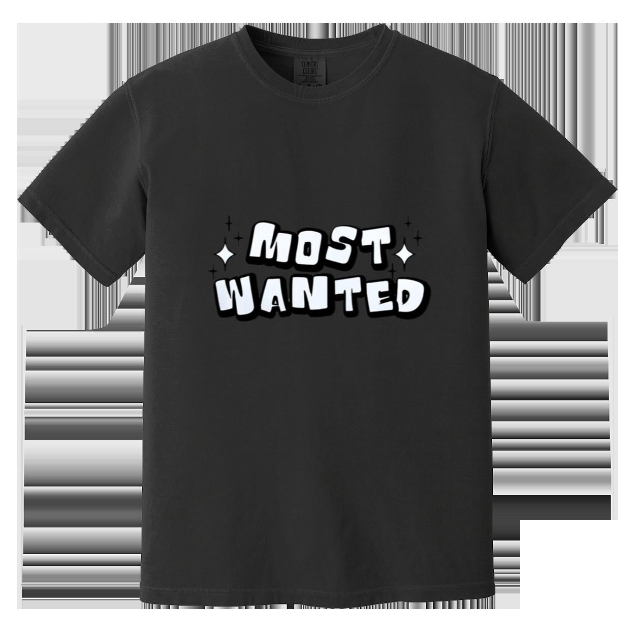 Cowboy Carter Stickers Inspired Comfort Color T-Shirt For Yeehaw Fans ...