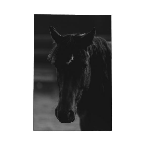 Cowboy Horse Canvas Framed Wall Art Western Rustic Country Vintage ...