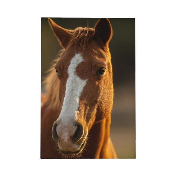 Cowboy Horse Canvas Framed Wall Art Western Rustic Country Vintage ...