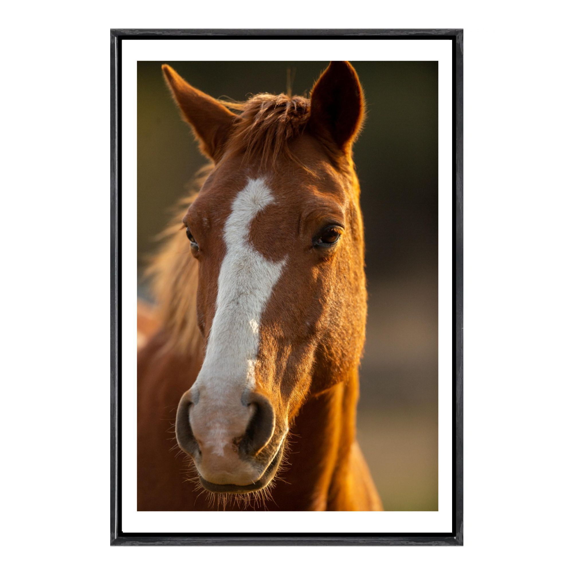 Cowboy Horse Canvas Framed Wall Art Western Rustic Country Vintage ...