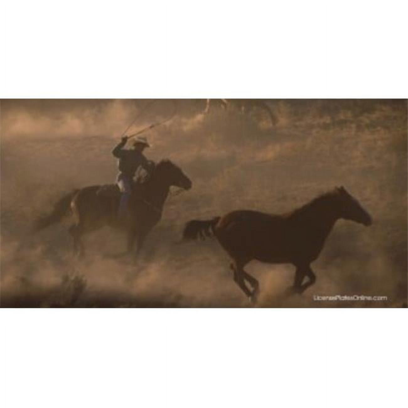 212 Main L0328 6 x 12 in. Cowboy Roping Horse Photo License Plate Free ...