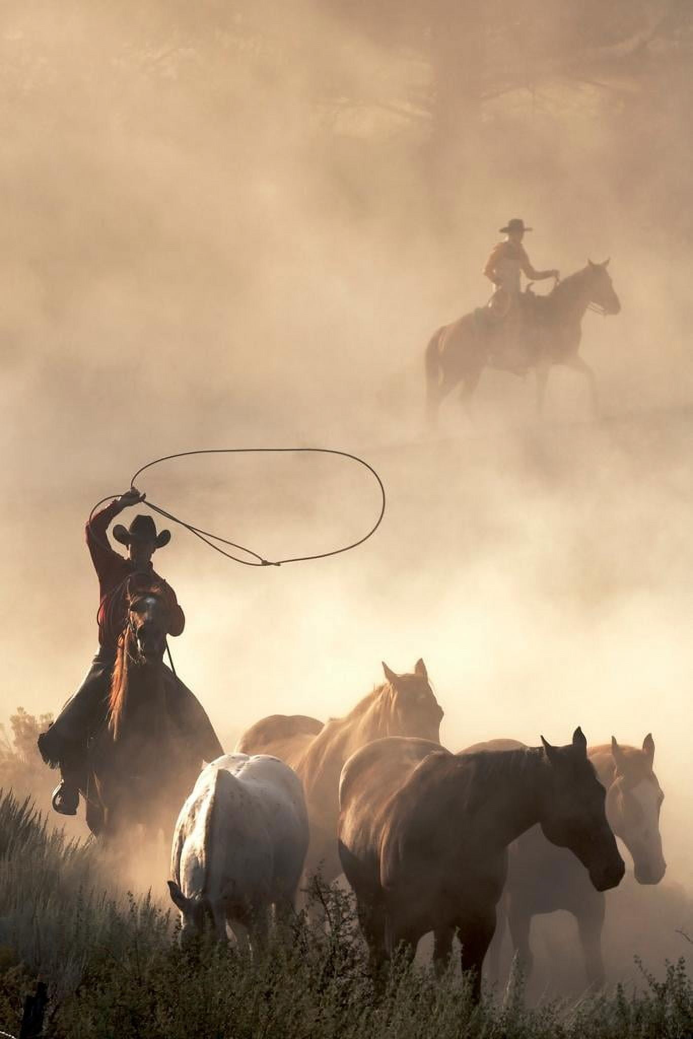 Cowboys On Horseback Wrangling Horses On Dusty Ranch Western Lasso ...