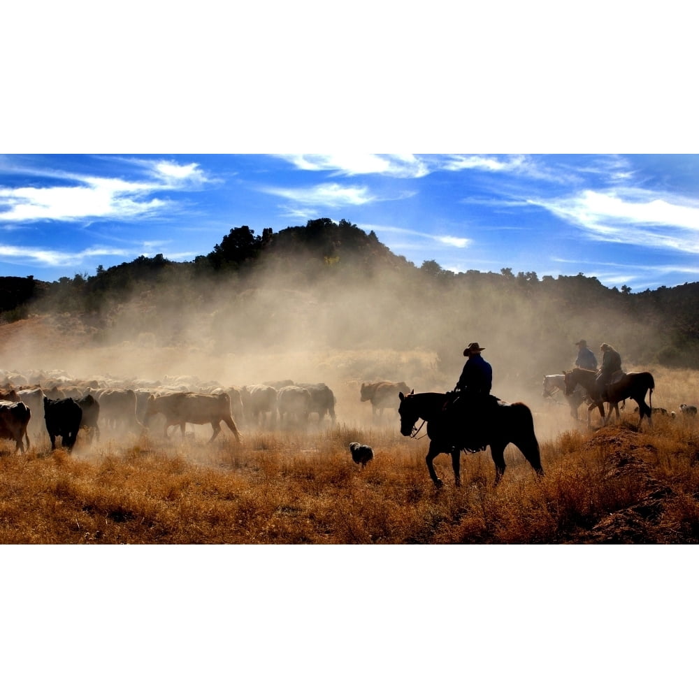 Cowboys driving cattle Moab Utah USA Poster Print by Panoramic Images ...