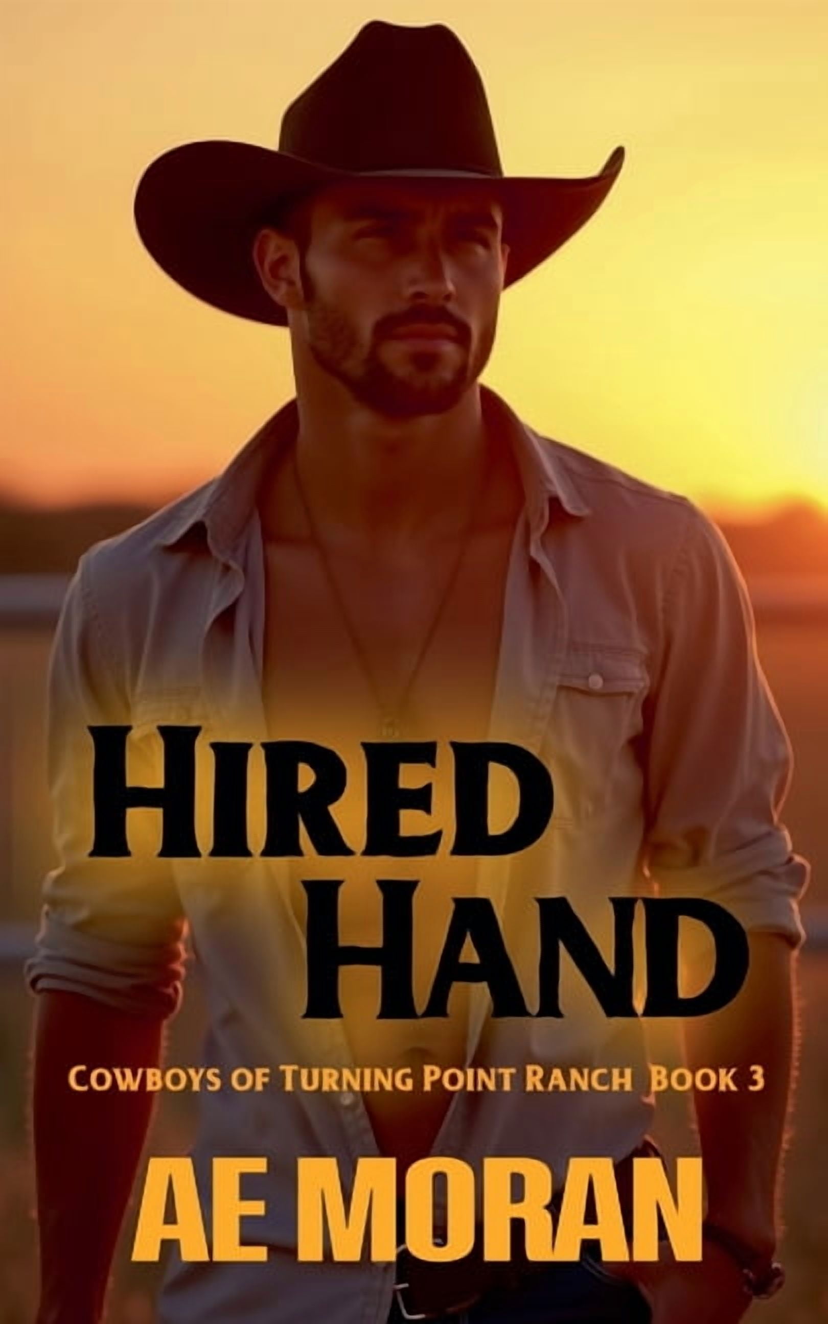 Cowboys of Turning Point Ranch Hired Hand, Book 3, (Paperback ...