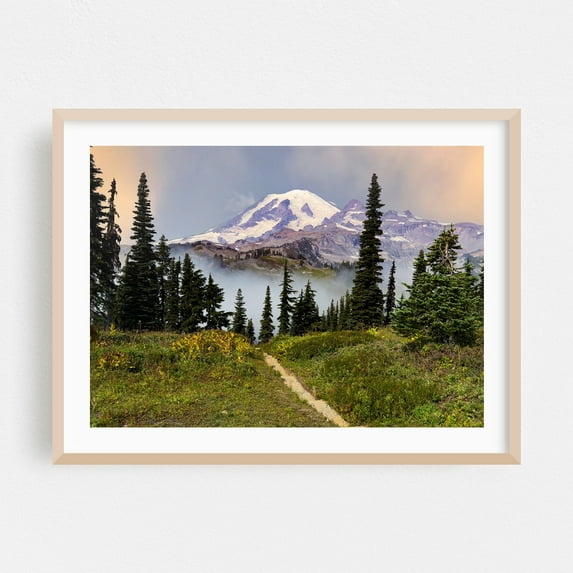 Cowlitz Divide 2025 - Photography Mountain Nature Landscape Forest ...