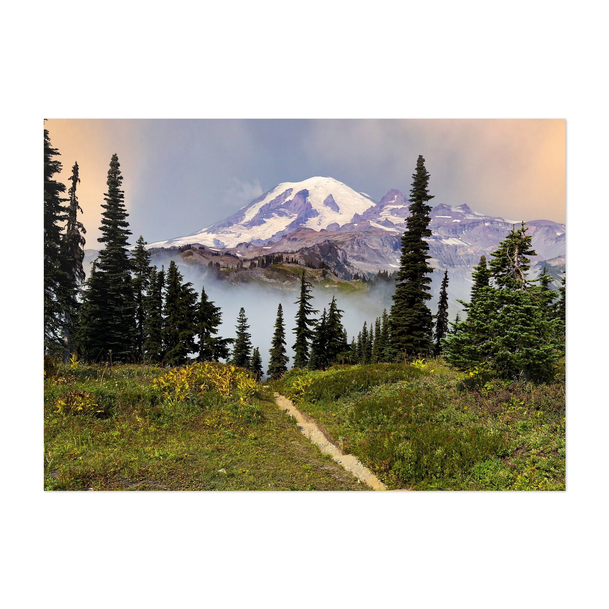 Cowlitz Divide 2025 - Photography Mountain Nature Landscape Forest ...