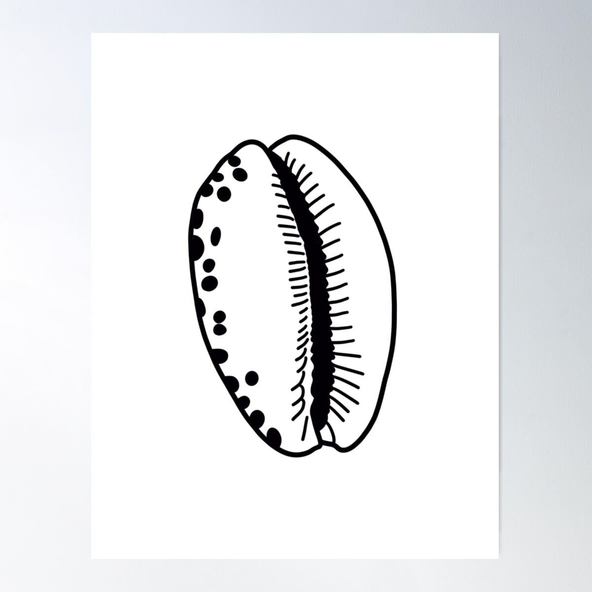 Cowrie Seashell Simple Line Drawing Poster Wall Art, Modern Wall Decor ...