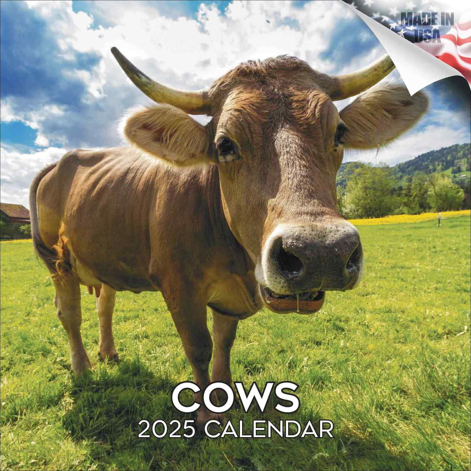 2024 2025 Cows Calendar - Wildlife Monthly Wall Calendar - 12 x 24 Open ...